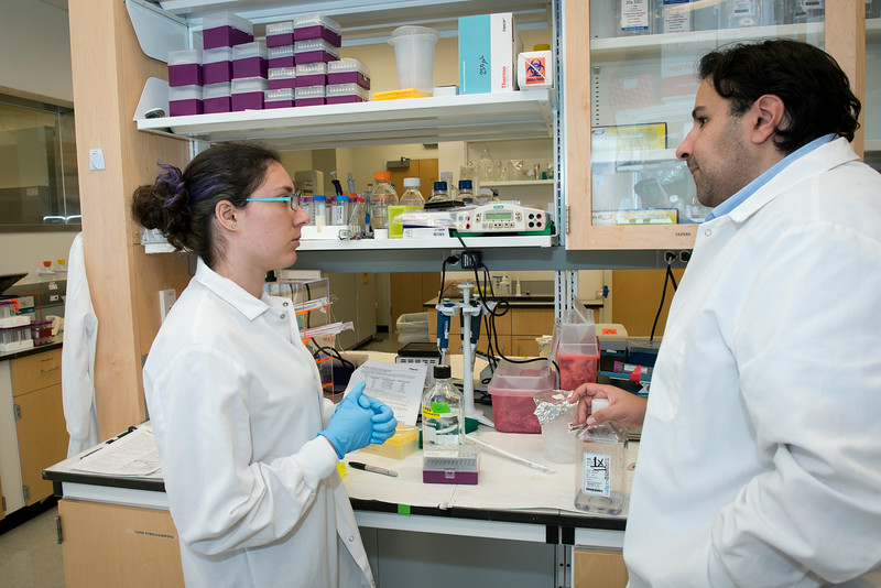 Mason Researchers Looking for Fresh Answers in a Medieval Disease – The ...